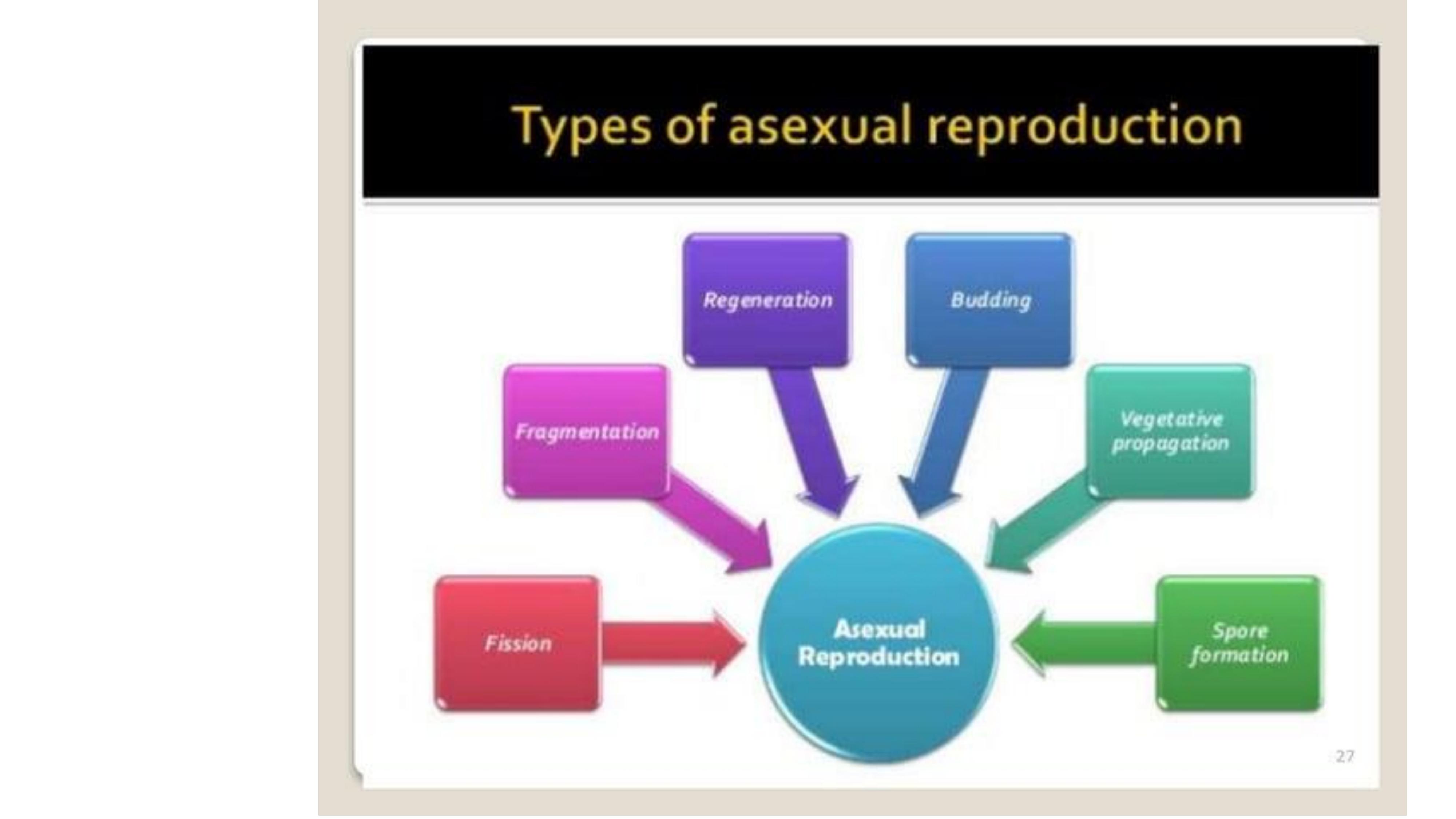 How Do Organism Reproduce - MyPrivateTutor India