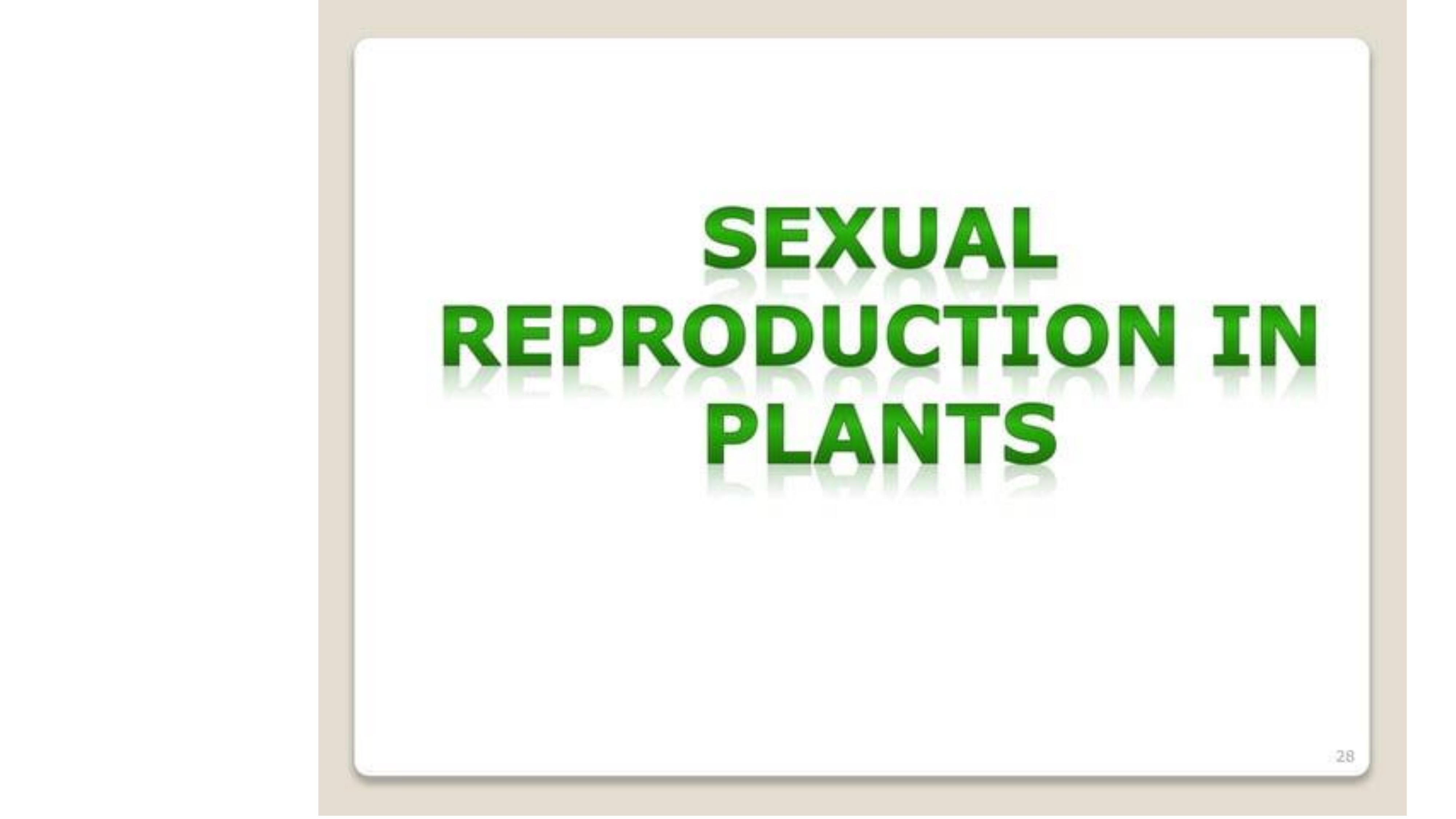 How Do Organism Reproduce - MyPrivateTutor India