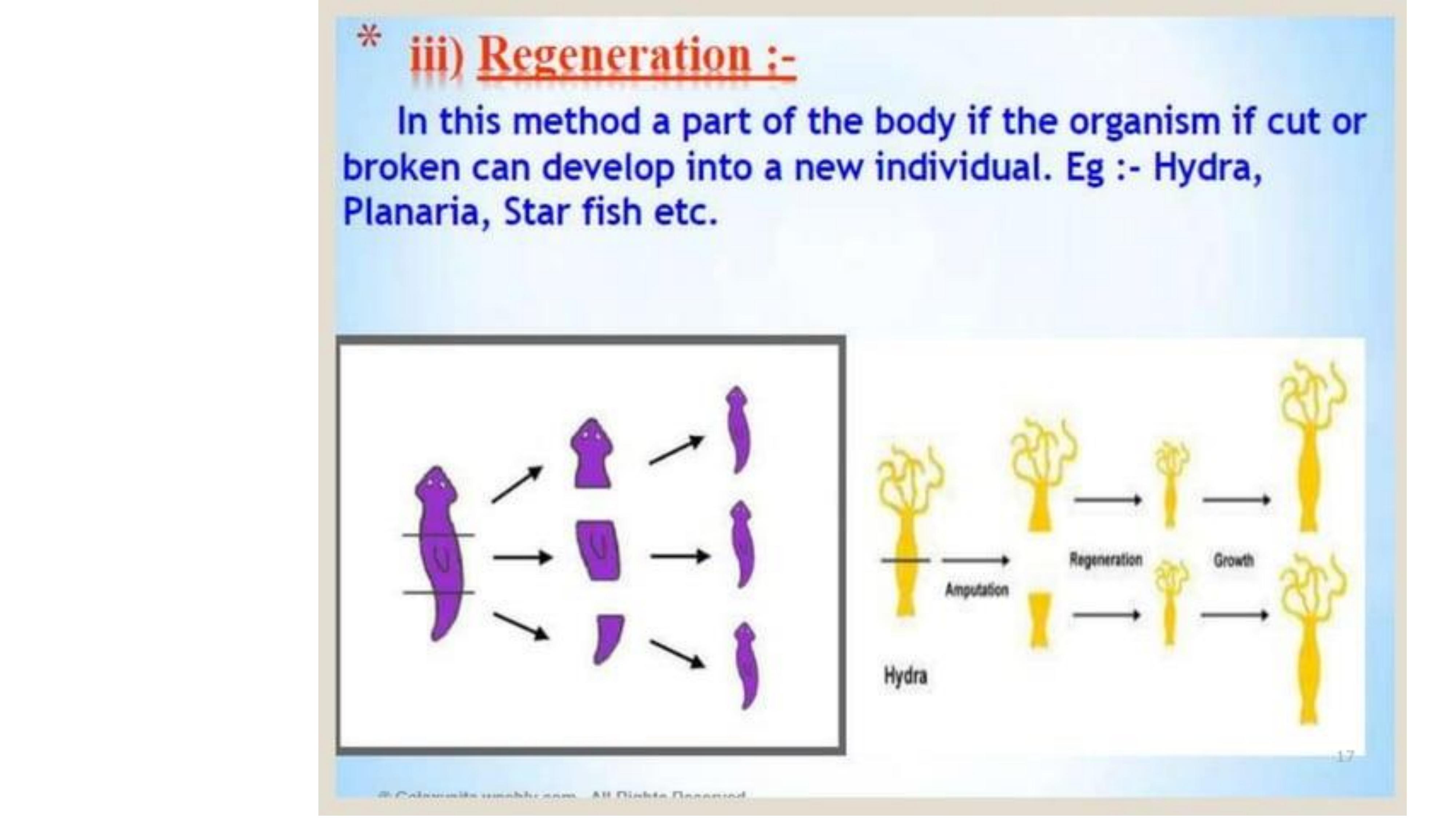 How Do Organism Reproduce - MyPrivateTutor India
